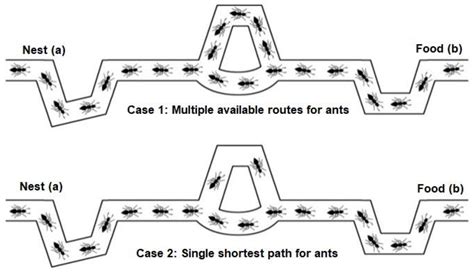 sensors free full text convergence analysis of path planning of multi uavs using max min ant