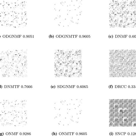 orthogonal dual graph regularized nonnegative matrix factorization for co clustering request pdf