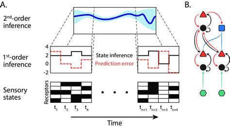 perceptual dynamics under hierarchical active inference a in this download scientific