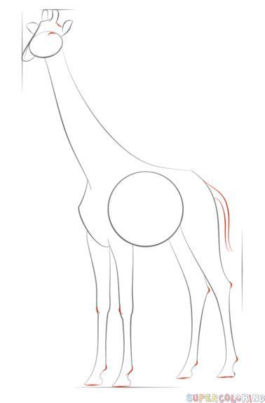 How To Draw A Realistic Giraffe Step By Step Drawing Tutorials Artofit