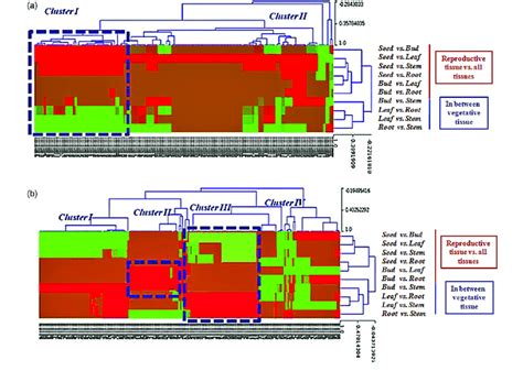 Heat Map And Unsupervised Hierarchical Clustering Showing A 171 Novel
