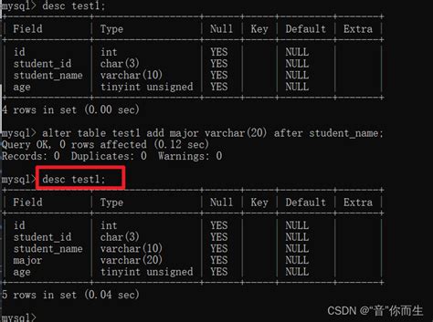 mysql中的ddl和dml详解使用 mysql新增字段 ddl语句 csdn博客