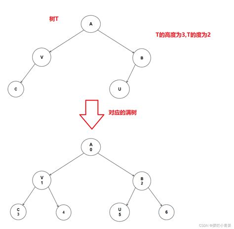 数据结构 二叉树概念篇 算法基础 有向树 csdn博客