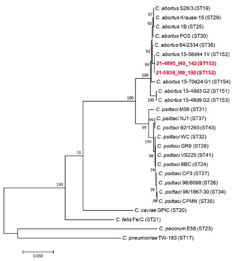 phylogenetic analyses of multilocus sequence typing mlst concatenated download scientific