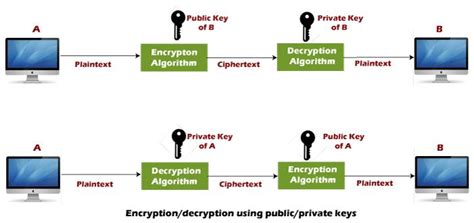 rsa encryption algorithm javatpoint encryption algorithms algorithm encryption