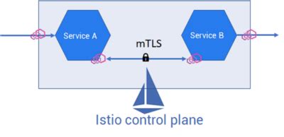 API Gateway Vs Istio Service Mesh