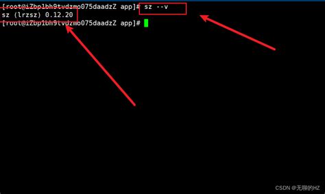 linux系统上使用不了rz和sz命令怎么办？什么是lrzsz？ linux sz命令用不了 csdn博客