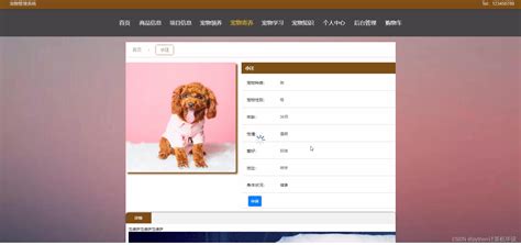 springboot java php node python宠物管理系统【计算机毕设】 csdn博客