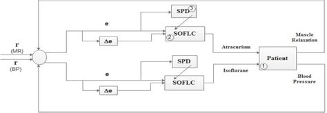 figure 2 from self organizing fuzzy logic controller for the multivariable anesthesia system