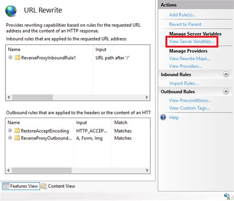 Plex Behind IIS Reverse Proxy