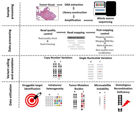cancers free full text comprehensive outline of whole exome sequencing data analysis tools