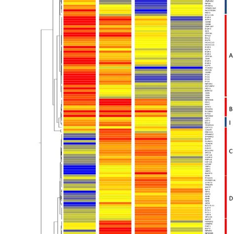 hierarchical clustering analysis of transcription factor genes download scientific diagram