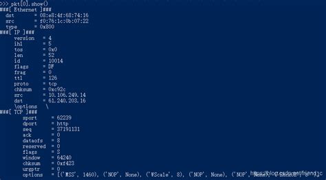 [python][scapy]使用scapy解析pcap格式数据 scapy读取pcap csdn博客