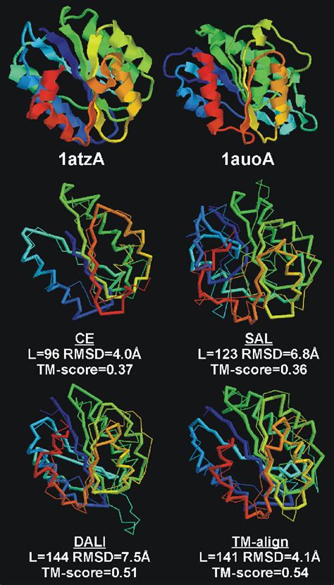 [pdf] tm align a protein structure alignment algorithm based on the tm score semantic scholar