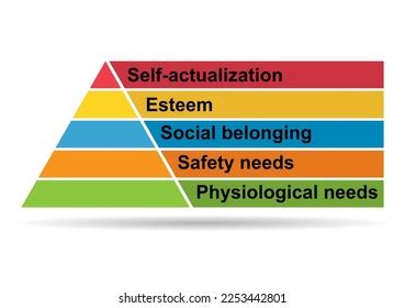 Maslow Pyramid Hierarchy Needs Shadow Motivation Stock Vector Royalty