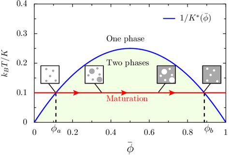 color online phase diagram of a binary mixture undergoing chemical download scientific