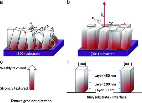 schematic diagram of the anisotropic texture gradient induced by the download scientific