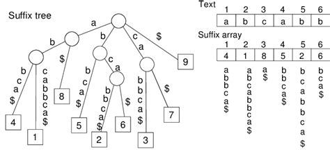 an example of the suffix tree and the suffix array download scientific diagram
