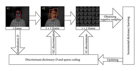 diagram of targets tracking via sparse representation global and local download scientific