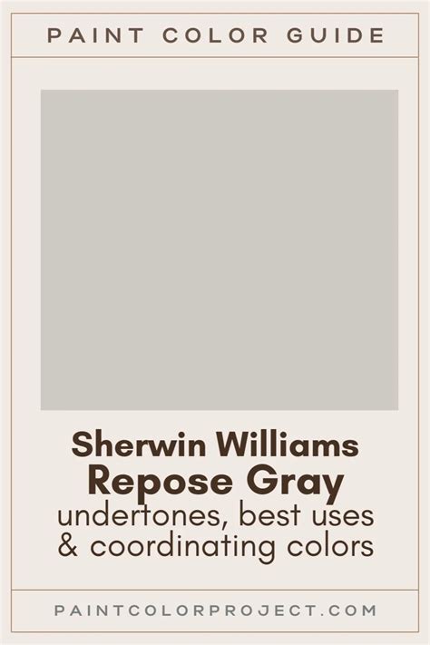 Repose Gray A Complete Color Review In 2024 Repose Gray Repose Gray
