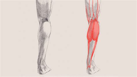 How To Draw Legs