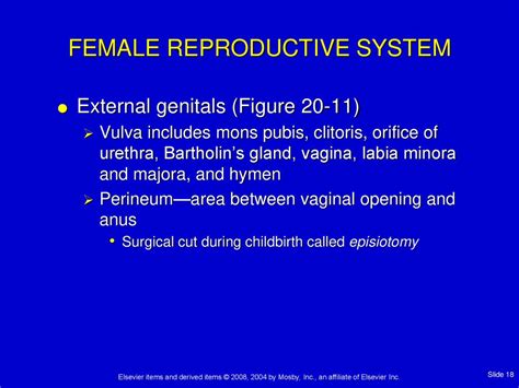 Chapter 20 The Reproductive Systems Jeanelle F Jimenez Rn Bsn Ccrn Ppt Download