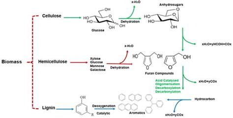 Processes Free Full Text Recent Insights Into Lignocellulosic
