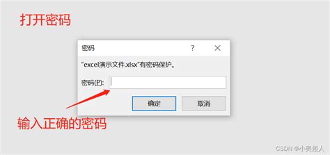 【excel密码】excel文件加密方法总结： c excel加密 csdn博客