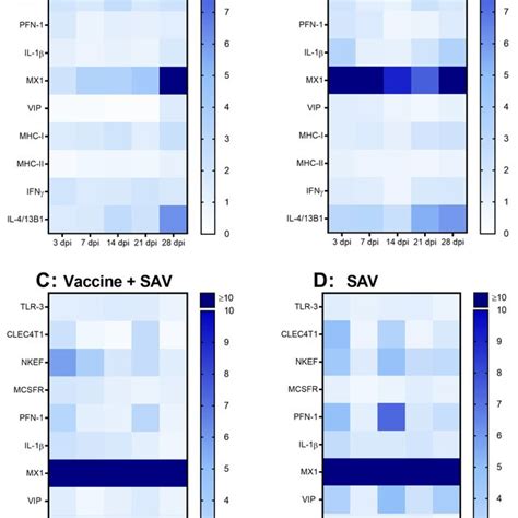Heatmaps Of RT QPCR Data Showing Gene Expression Mean Fold Change N