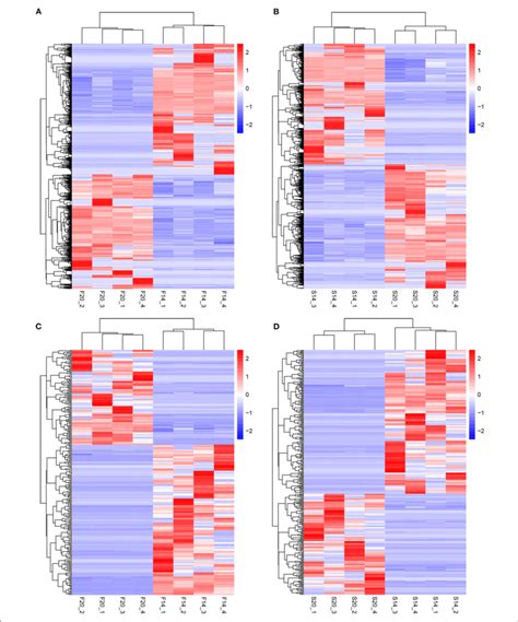 results of hierarchical clustering analysis a hierarchical download scientific diagram