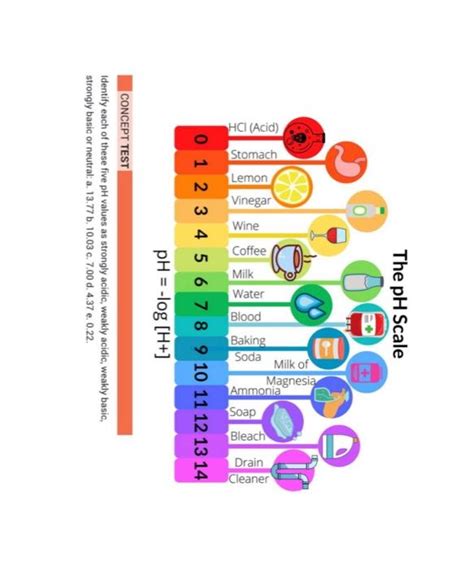 Solved Please Explain The PH Scale CONCEPT TEST Identify