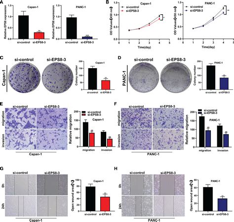 Frontiers A Necroptosis Related Prognostic Model Of Pancreatic Cancer