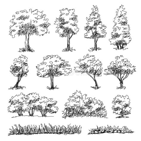 Hand Drawn Sketch Architect Trees Stock Vector Illustration Of Garden