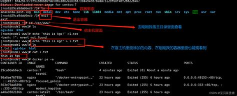docker安装及优化详解 学习docker这一篇就够了！！ docker 优化 csdn博客