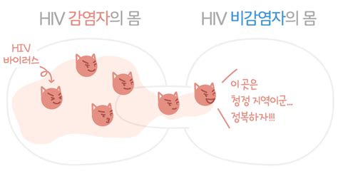 애널 섹스를 하면 정말 AIDS에 걸리나요 연애의 과학인용 네이버 블로그