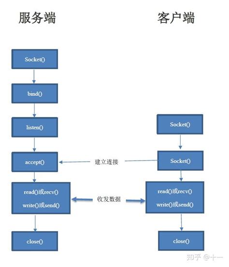 c 中的tcp socket通信 知乎