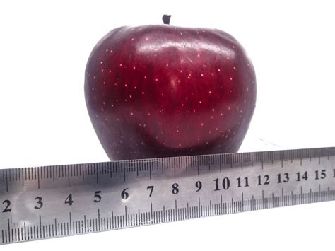 Free Images Fruit Heart Food Produce Red Apple Power Rule Size Organ Diet White
