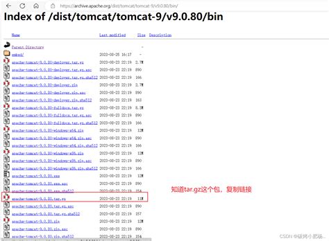 tomcat服务andandtomcat多实例部署 tomcat运行多个服务 csdn博客