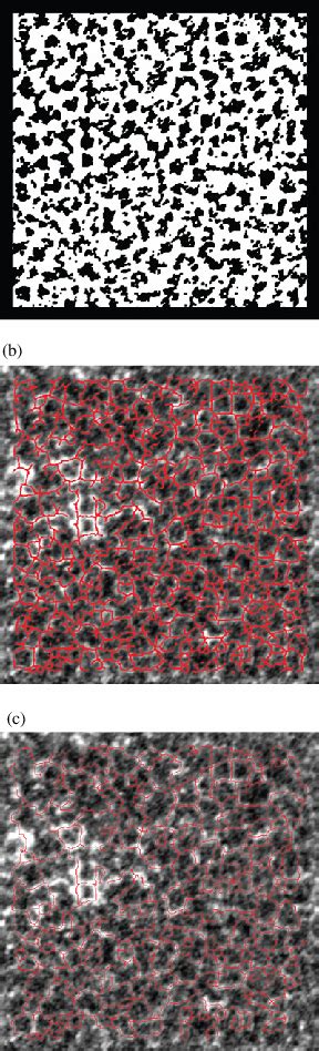 three steps in the skeletonization process the binary image a is download scientific diagram