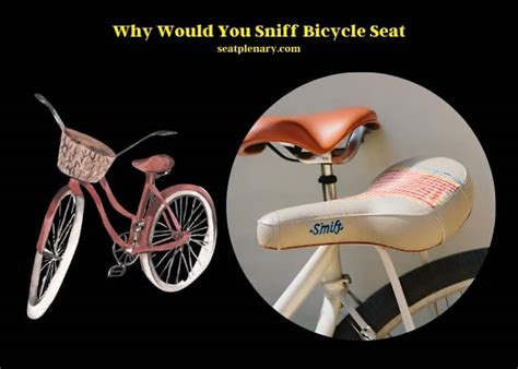 The Peculiar Practice Of Sniffing Bicycle Seats Insights And Analysis Seat Plenary