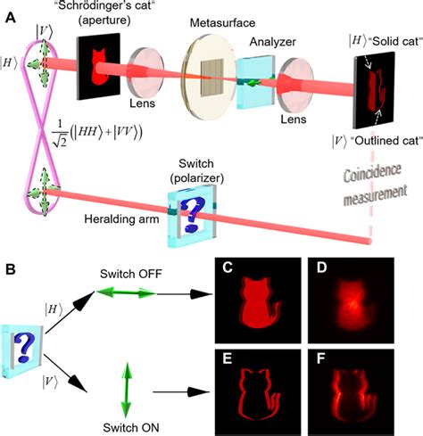 metasurface enabled quantum edge detection science advances