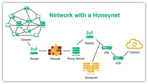 what is a honeypot in network security definition types and uses infosec insights