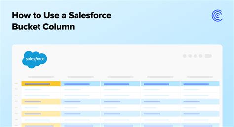 How To Use Salesforce Bucket Column
