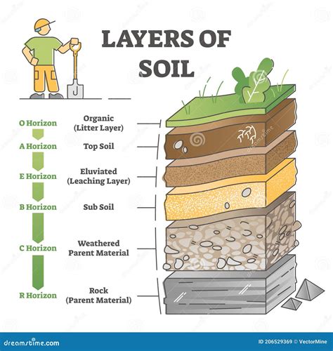 Soil Horizon Diagram Soil Layers Diagram Structure Earth Out