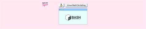 getting started with bash scripting in linux scaler topics