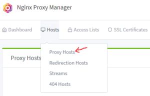 How To Combine Nginx Proxy Manager With Cloudflare To Access Your