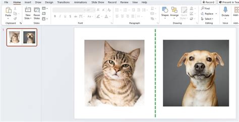 How To Insert Dotted Lines In PowerPoint Effectively MyExcelOnline