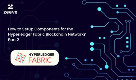 how to setup components for the hyperledger fabric blockchain network