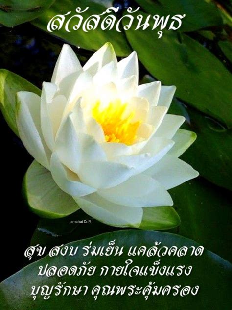 Pin by Ramchai Chuenbumrung on สวสดวนพธ Good morning