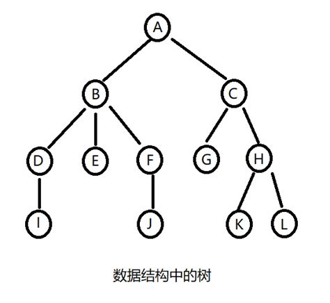 java数据结构 java数据结构与算法——树（基本概念，很重要） csdn博客